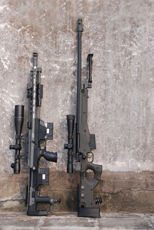 Feast Your Eyes on the ARES AMP-DSR-1 | Popular Airsoft: Welcome To The ...