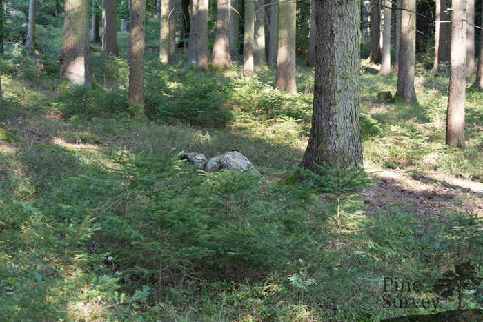 Multicam Versus GreenZone Field Test | Popular Airsoft: Welcome To The ...