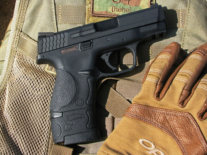 Baby Birds With Guns