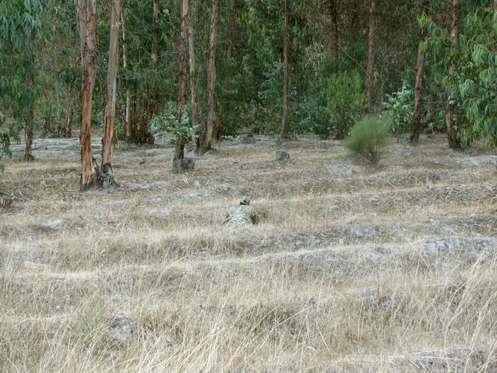 Helikon-Tex ACU in Camogrom | Popular Airsoft: Welcome To The Airsoft World