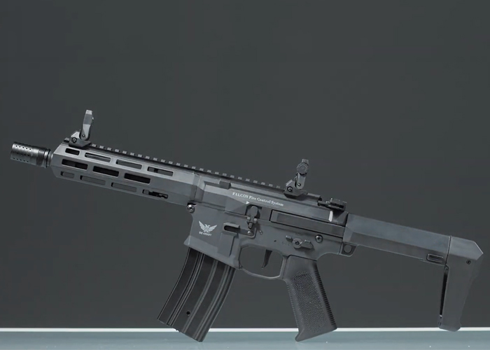 Double Eagle M904G Fire Control System Edition | Popular Airsoft ...