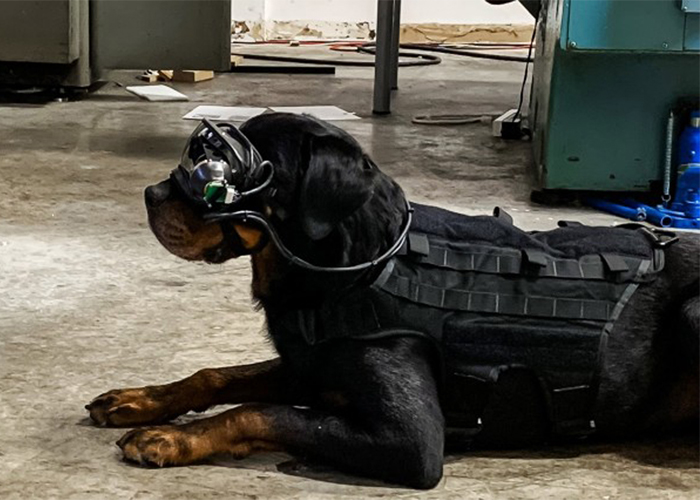 U.S. Army Looking Into Putting AR Goggles On Military Working Dogs ...