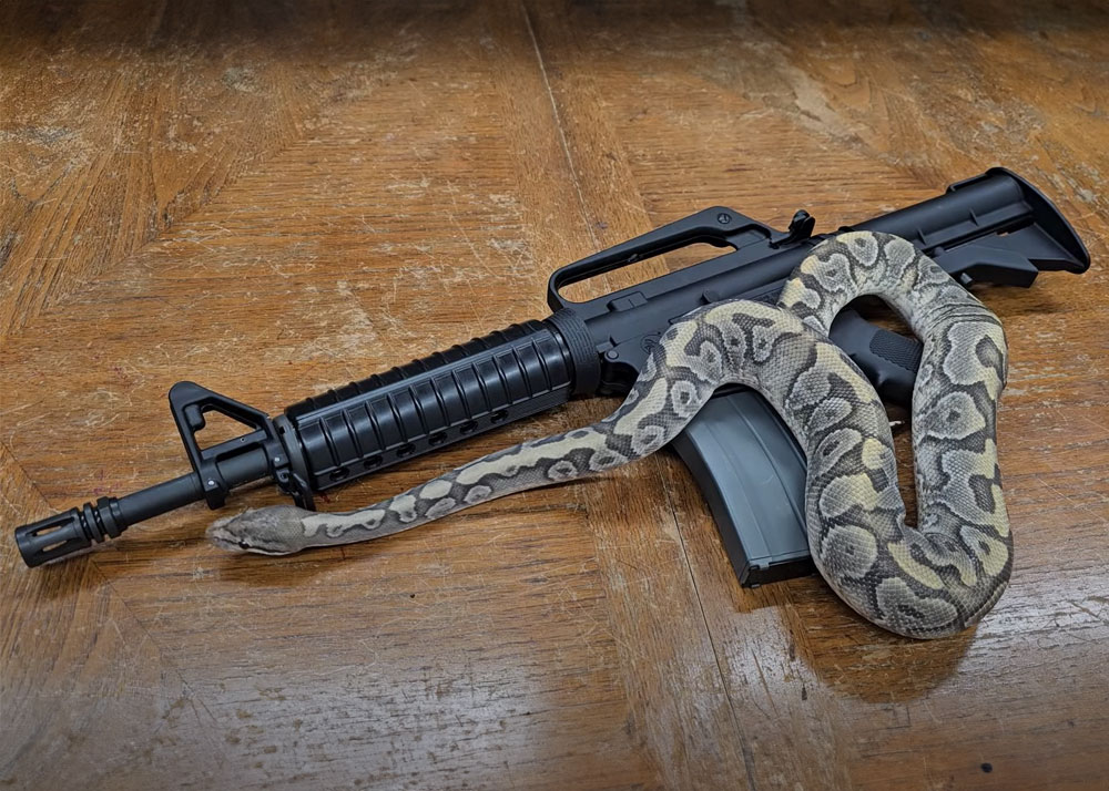 DIY Bore Snake For Inner Barrel Cleaning | Popular Airsoft: Welcome To ...