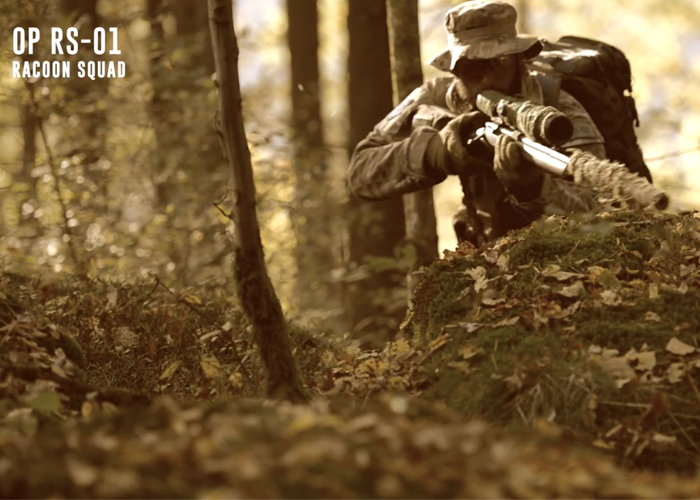 Airsoft Marksman Loadout at Laura Sutter blog