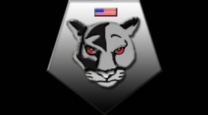 WebSighting: Task Force Rangers America | Popular Airsoft: Welcome To ...