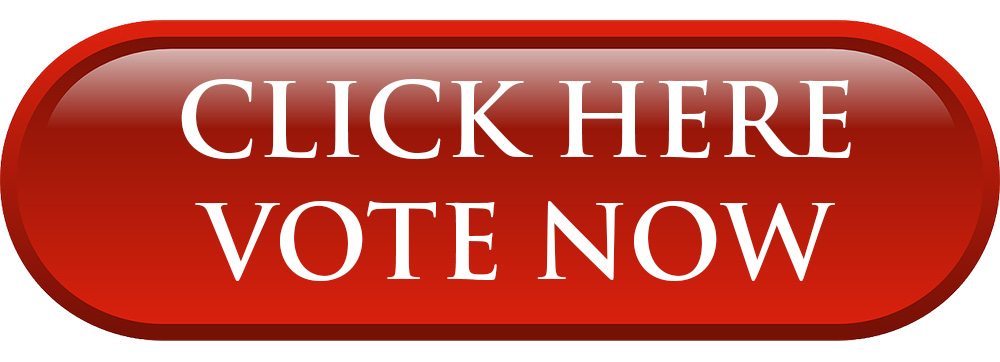 It's Now Open! Vote For The Finalists Of The 15th Airsoft Players ...