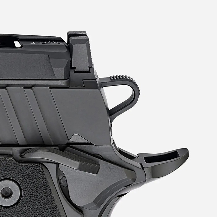 The “DS” Springfield Armory 1911 DS Prodigy May Mean “Double ...